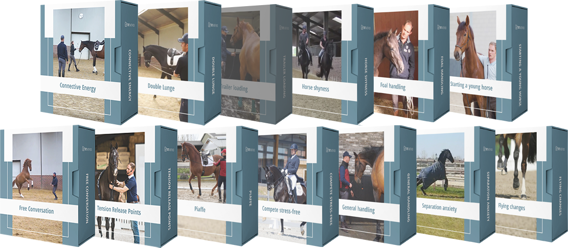 Upgrade your trailer loading module - TRTmethod