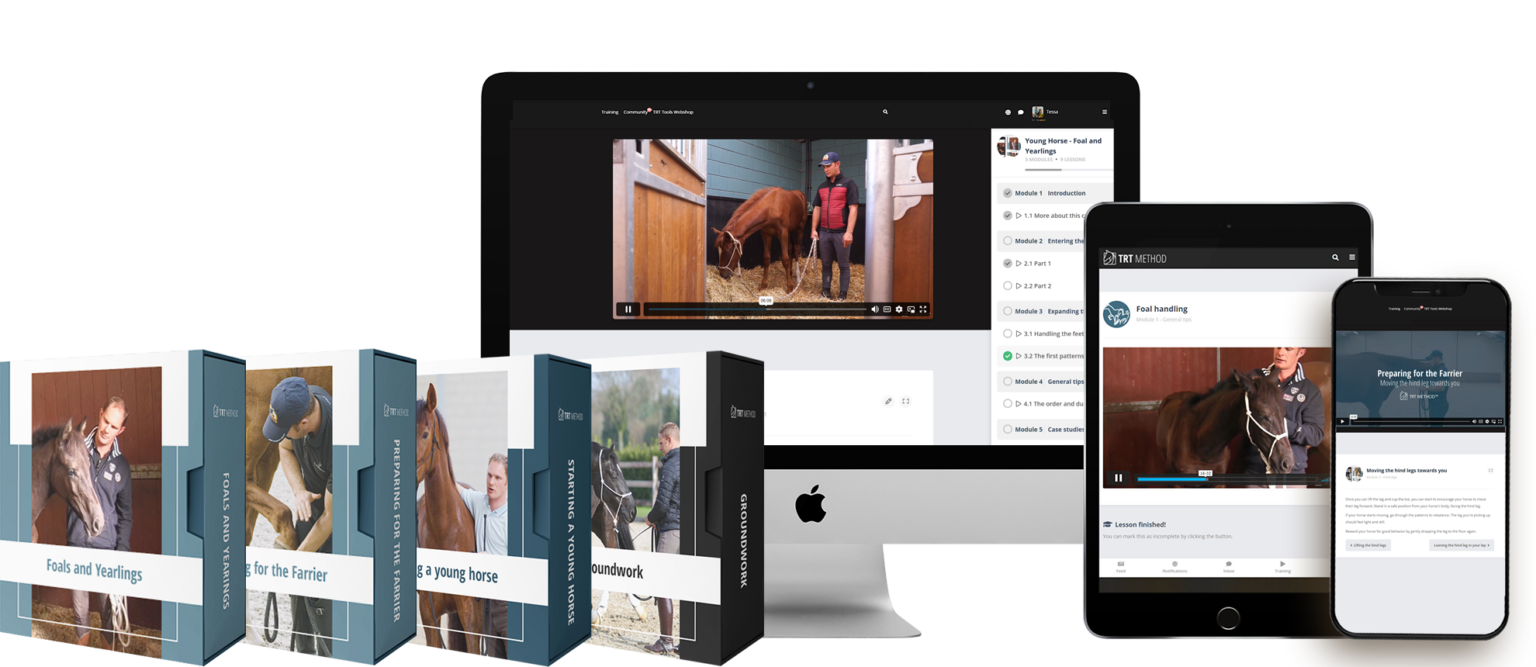 Courses – TRTmethod