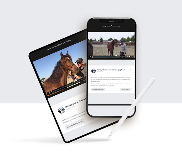 Starting Young Horse Course – TRTmethod